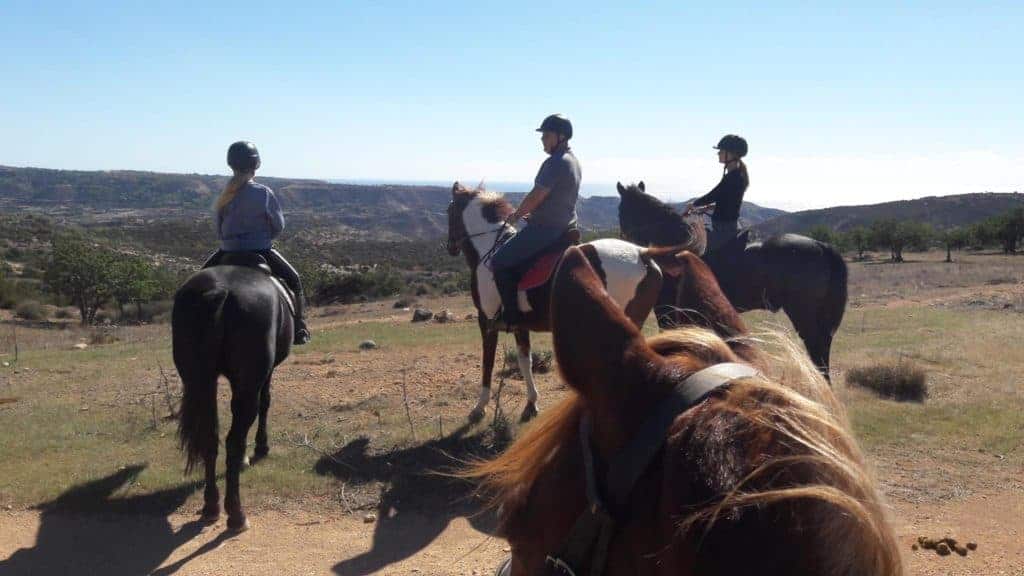 Aphrodite Hills Riding Club | Activitygogo