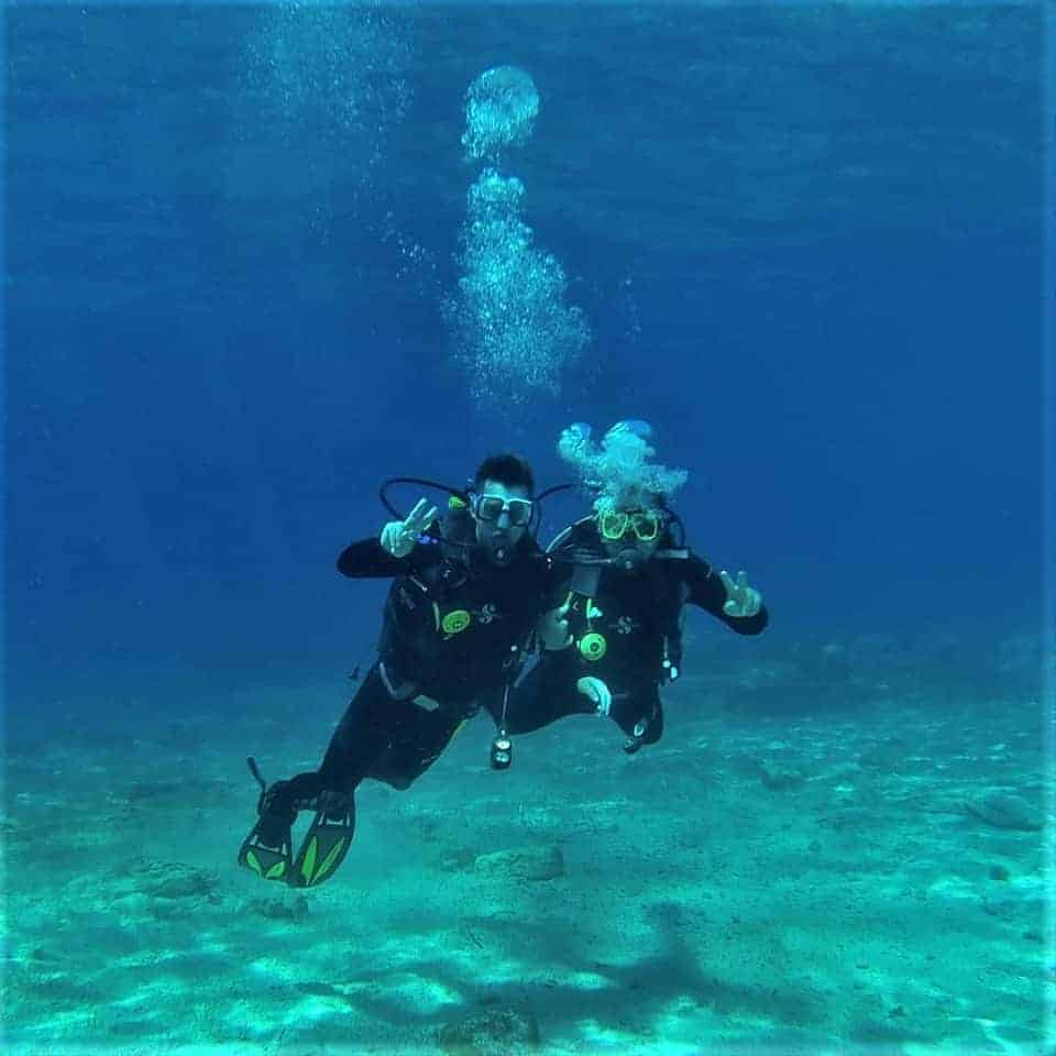 Sunfish Divers | Activitygogo